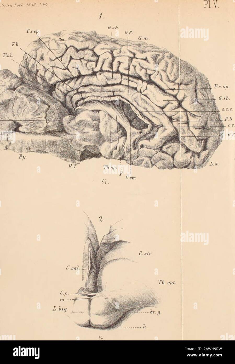 6 grundriss hi-res stock photography and images - Alamy