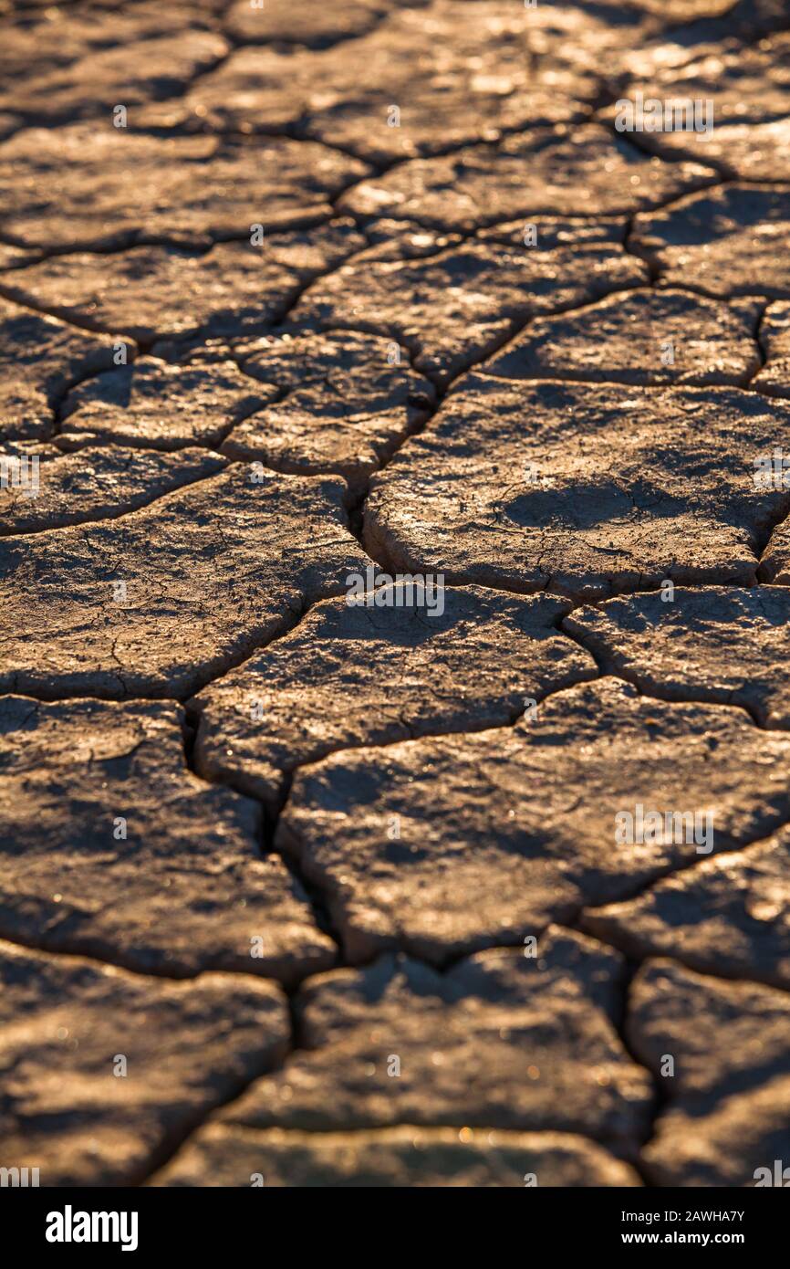 Cracked, dried earth in central Oregon Stock Photo - Alamy