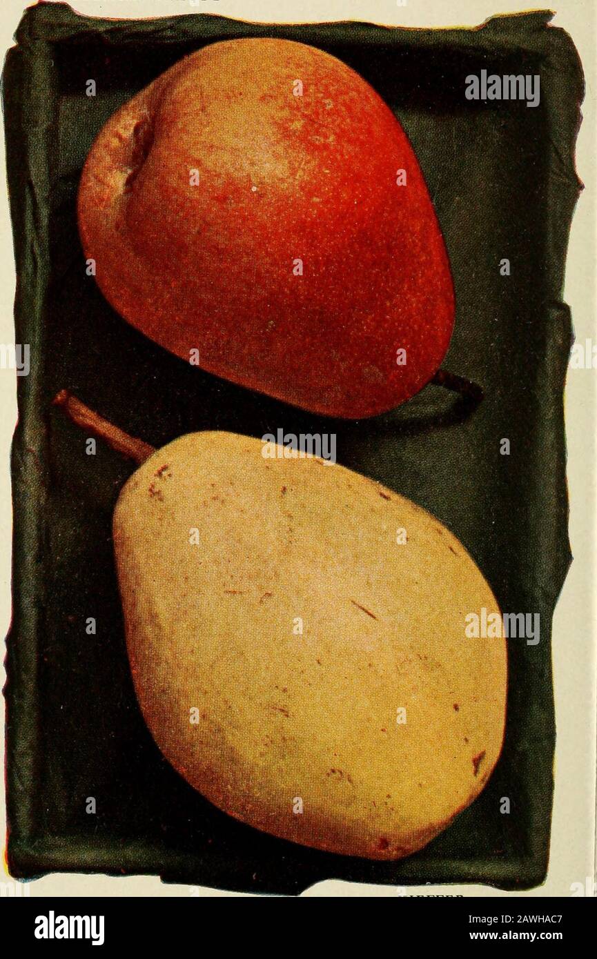 Biggle orchard book : fruit and orchard gleanings from bough to basket ...