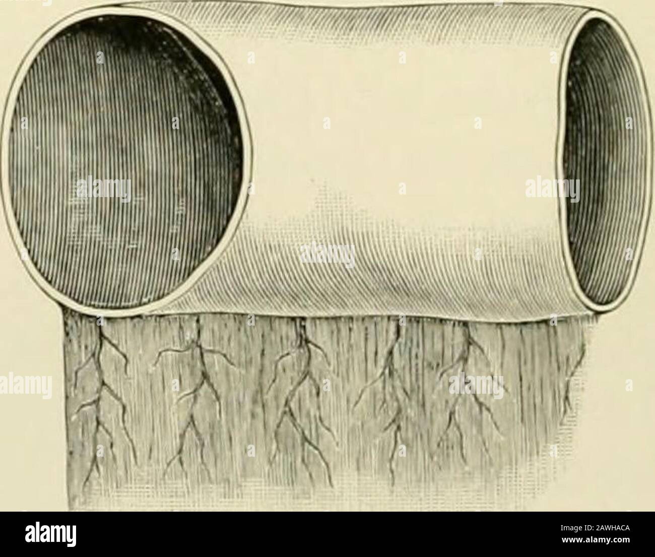 Application of a straight line hi-res stock photography and images - Alamy