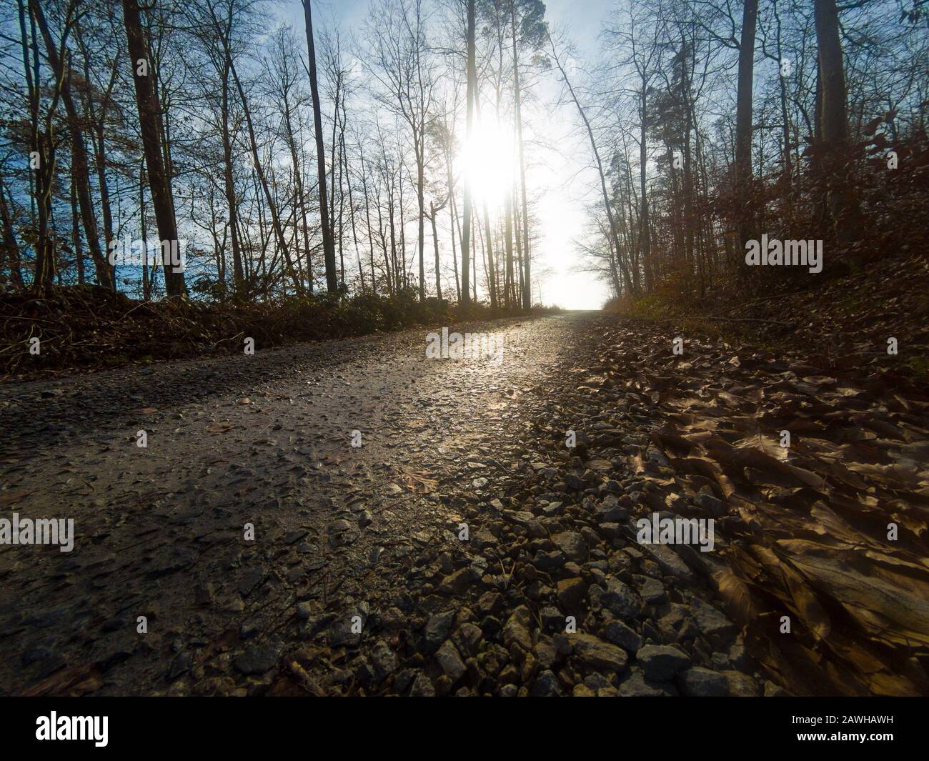 From the dirt hi-res stock photography and images - Alamy