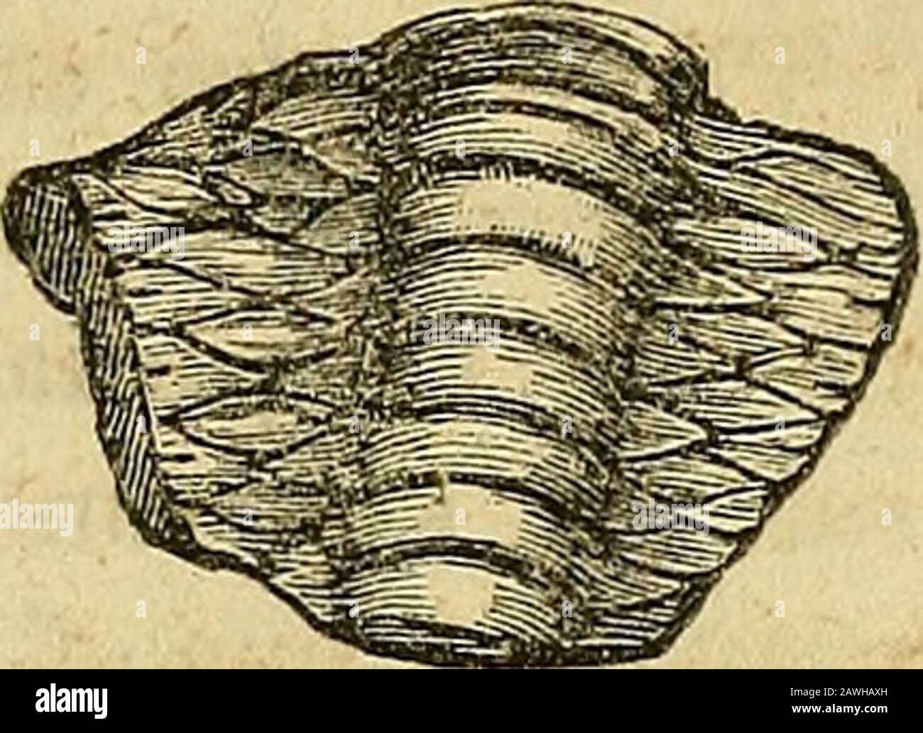 J c buckler hi-res stock photography and images - Alamy