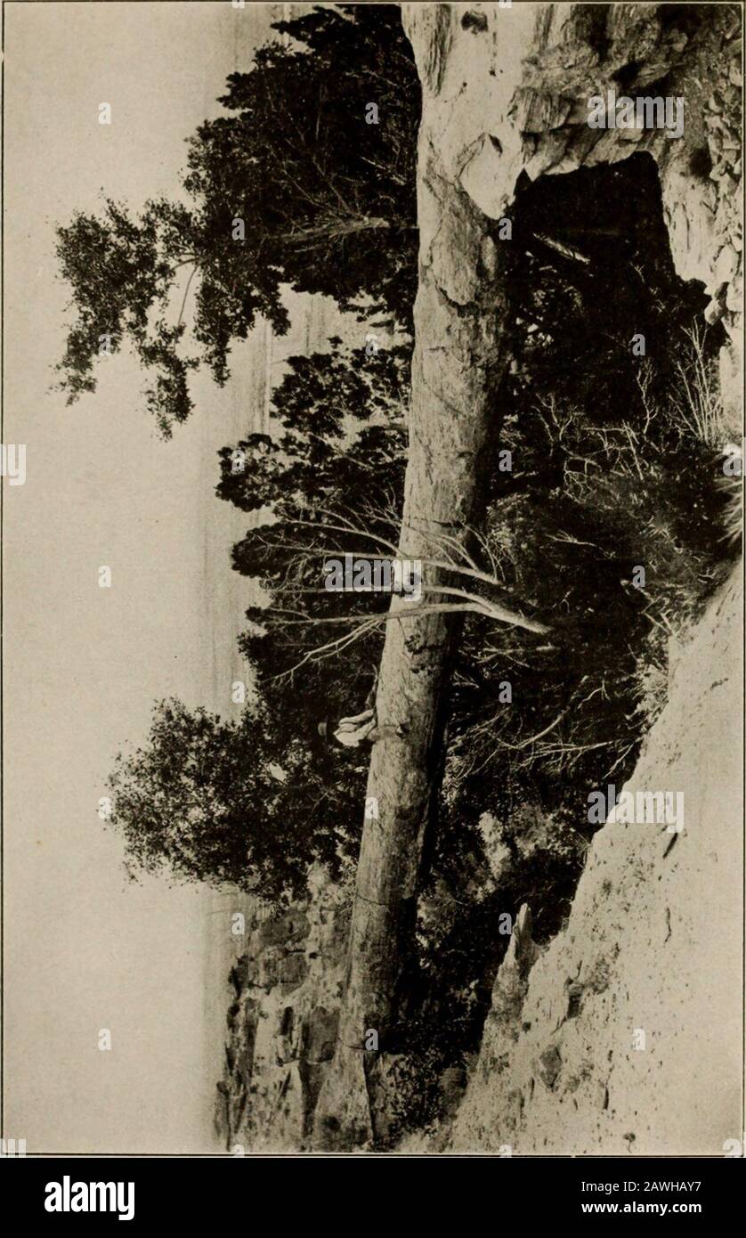 Wharton map hi-res stock photography and images - Alamy