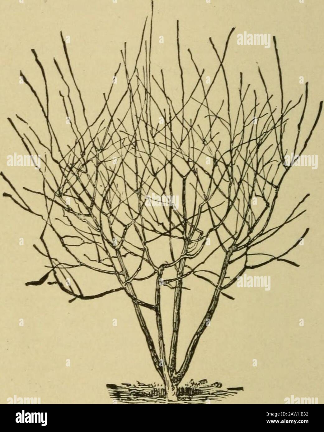 Benefit of tree roots hi-res stock photography and images - Alamy