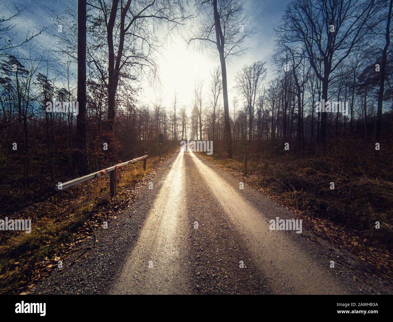 Long forest hi-res stock photography and images - Alamy