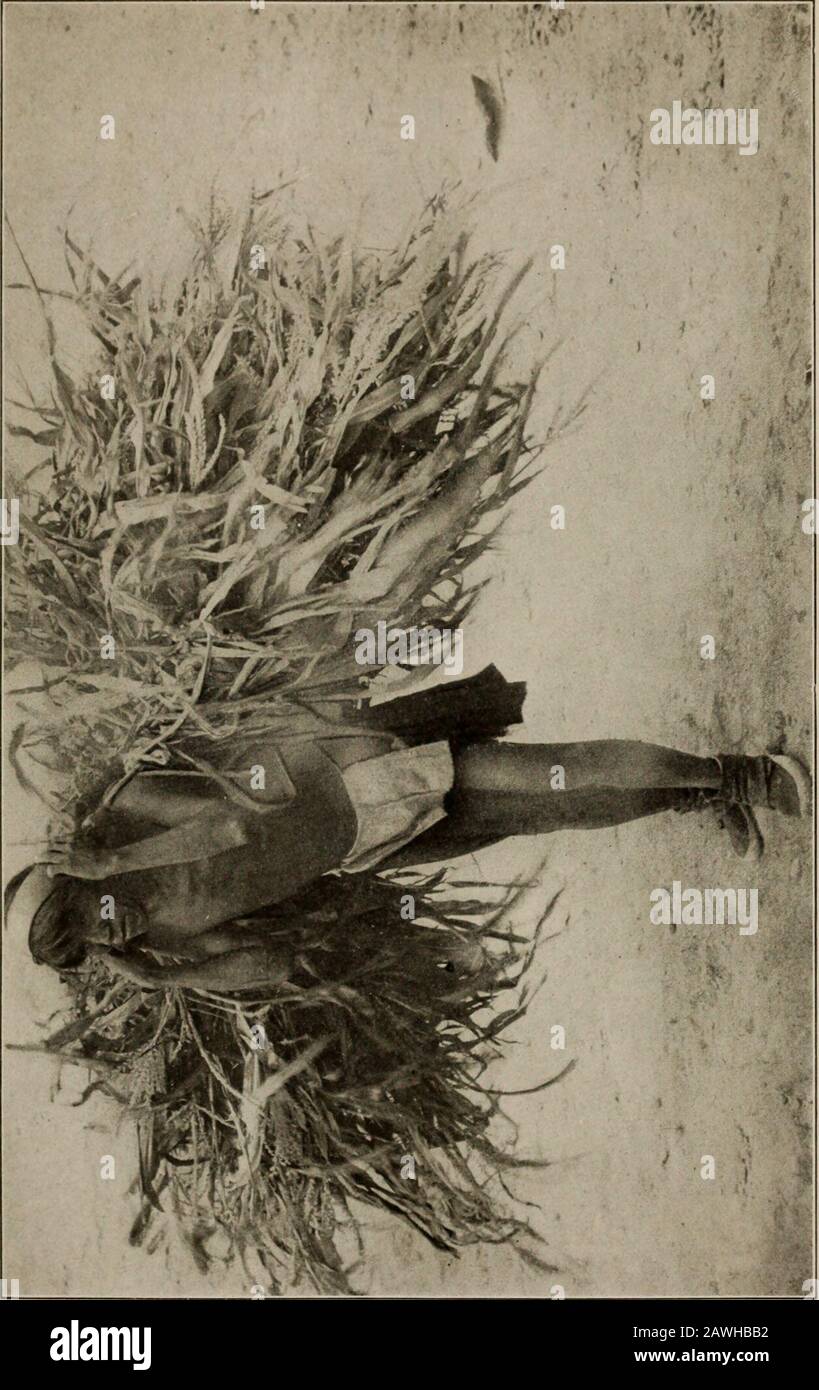 Wharton map hi-res stock photography and images - Alamy