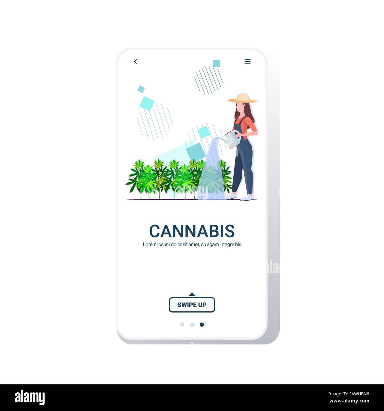 woman farmer watering cannabis industrial hemp plantation growing ...