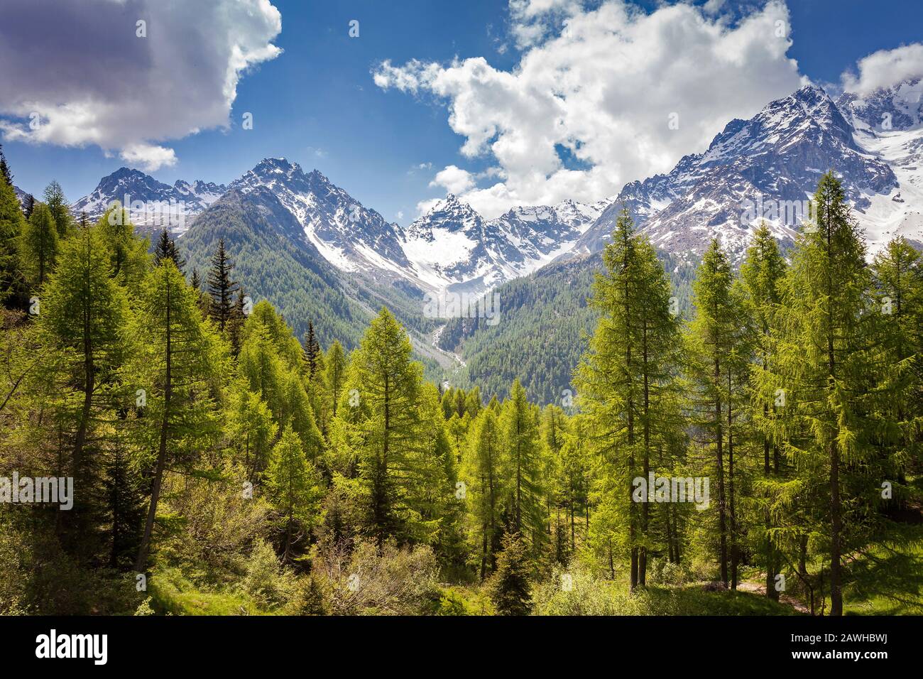 Valmalenco (IT) - view of the Ventina and Sissone valleys from the gold ...