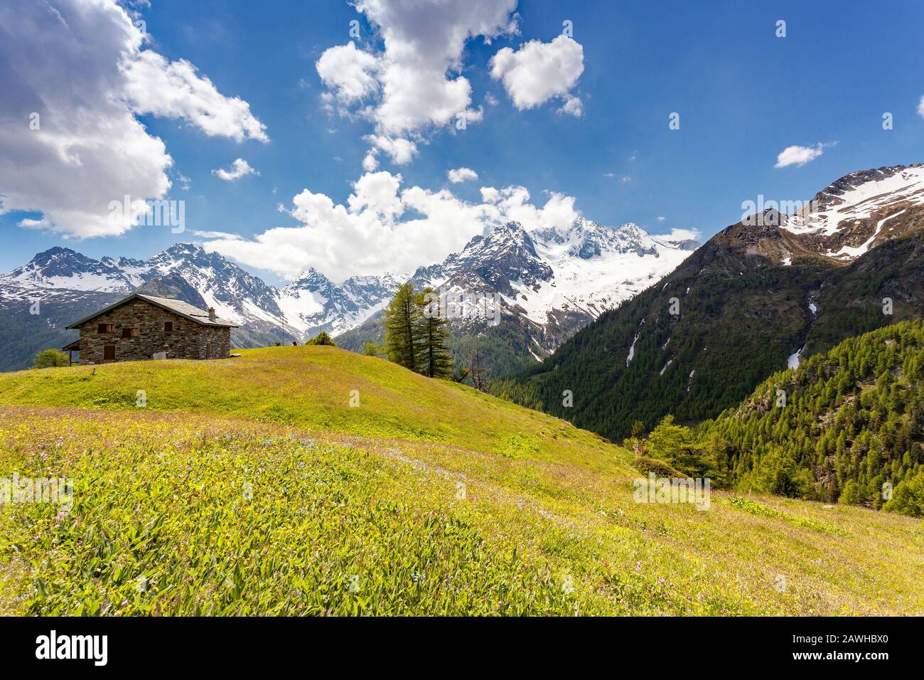 Valmalenco (IT) - view of the Ventina and Sissone valleys from the gold ...