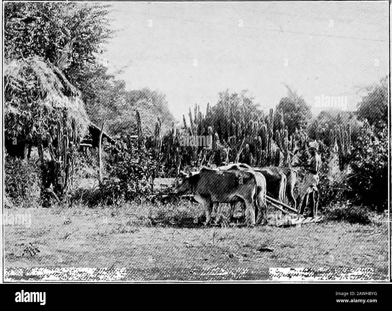 Pegu region hi-res stock photography and images - Alamy