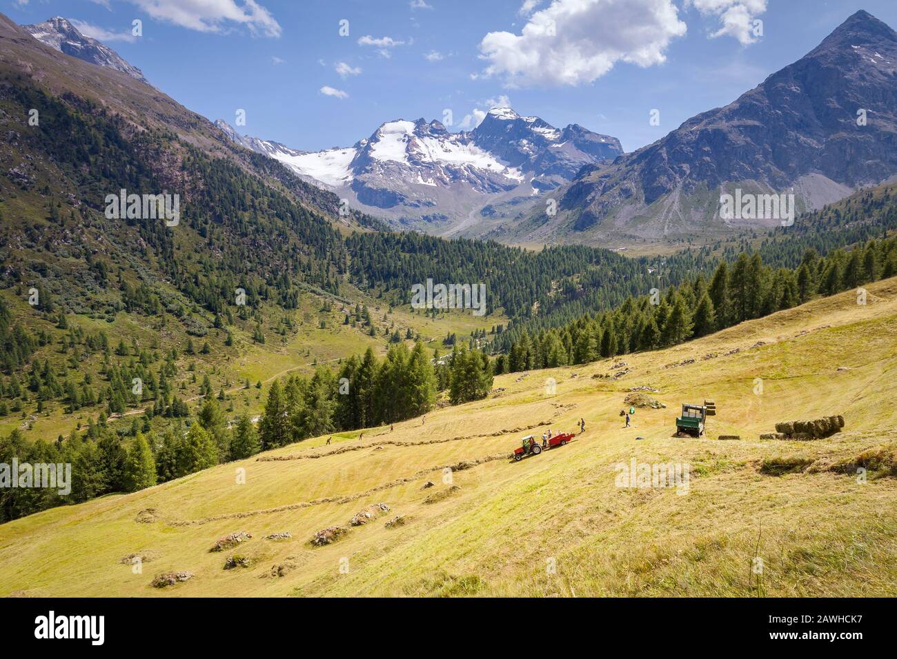 Hay alps making hay harvest hi-res stock photography and images - Alamy