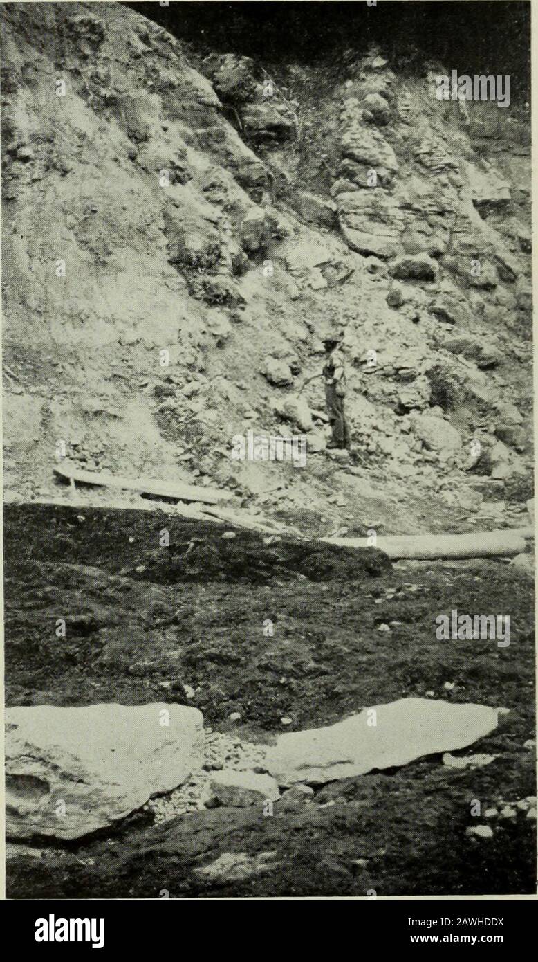 Quartz intrusions hi-res stock photography and images - Alamy
