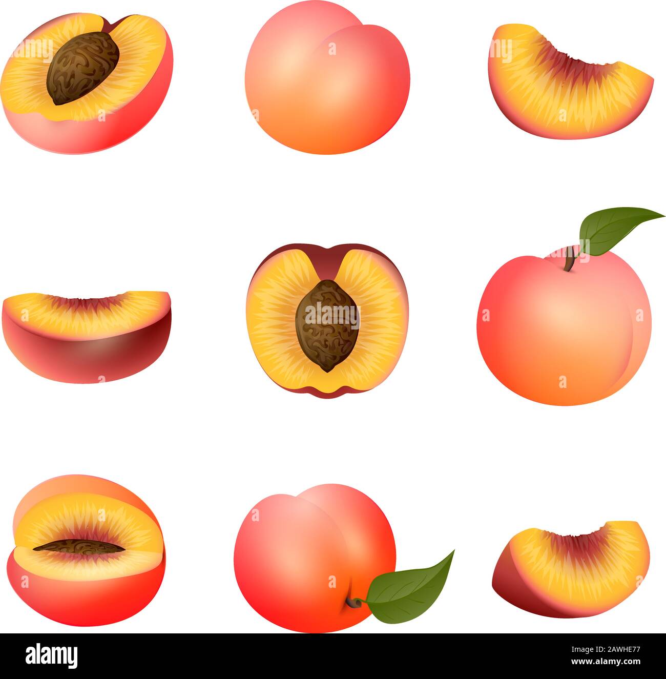Peach icons set. Cartoon set of peach vector icons for web design Stock ...