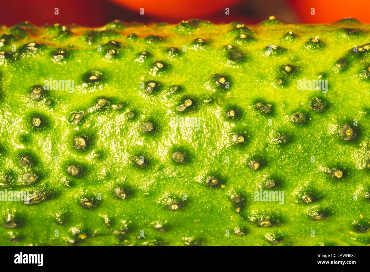Cucumber Texture High Resolution Stock Photography and Images - Alamy