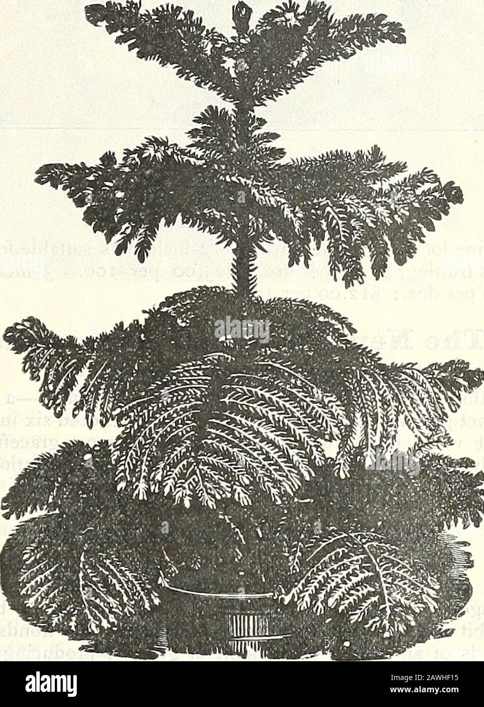 L shaped arrow hi-res stock photography and images - Alamy