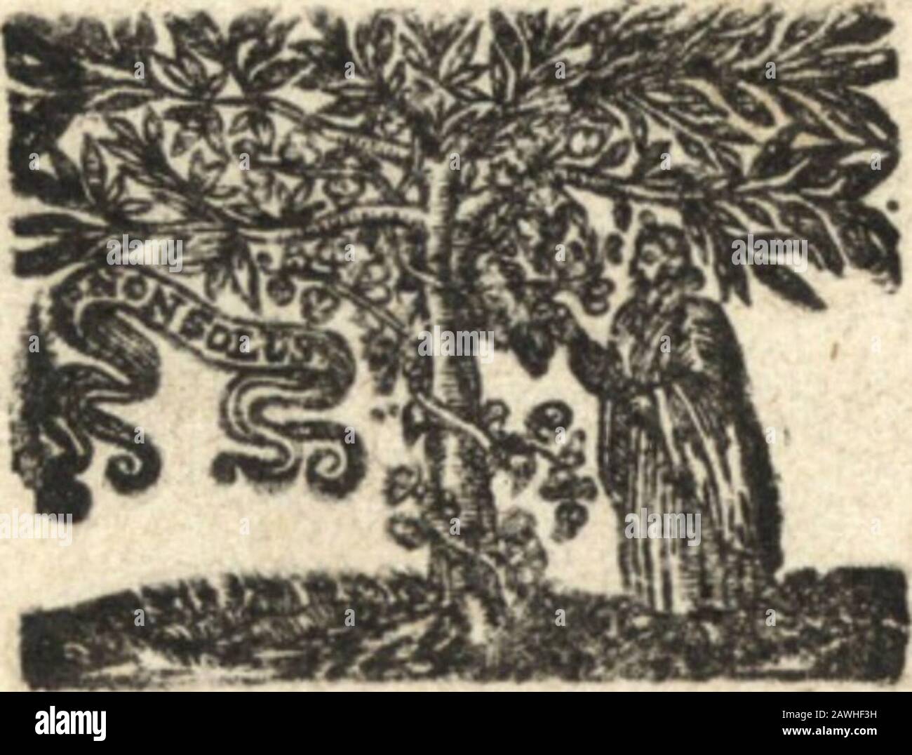 Duas partes hi-res stock photography and images - Alamy