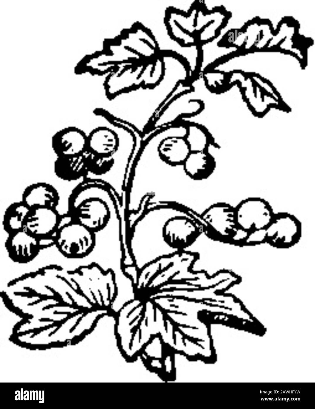 Miss understood Cut Out Stock Images & Pictures - Alamy