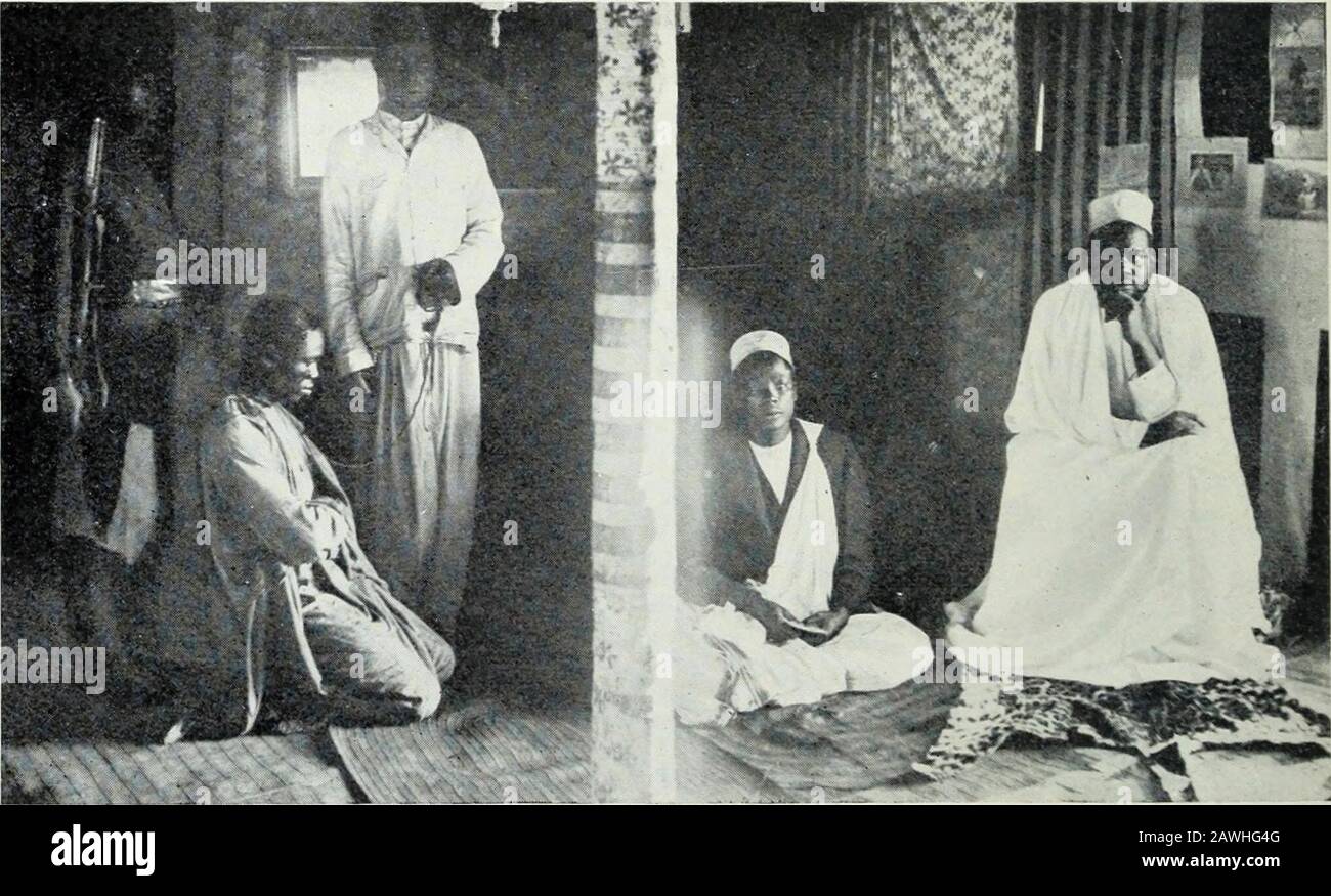 Daudi hi-res stock photography and images - Alamy