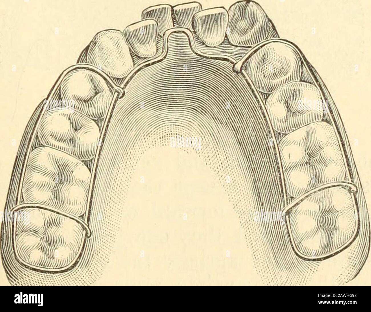 Dental 1890 hi-res stock photography and images - Alamy