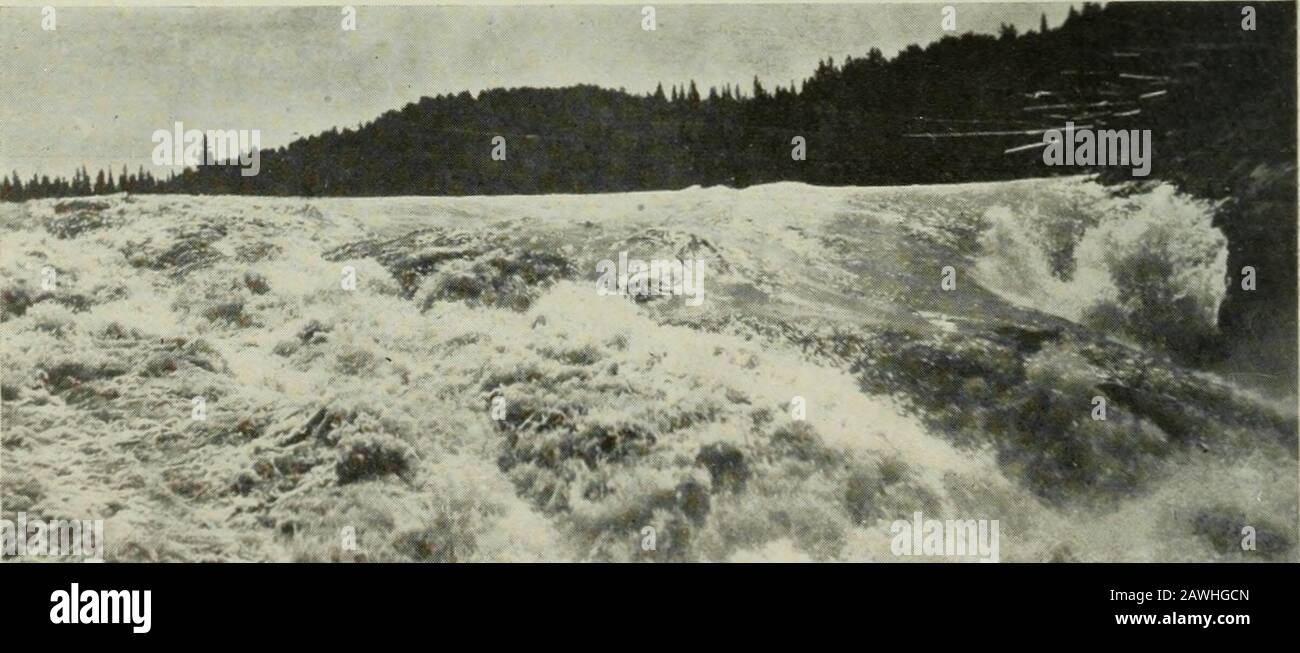 Annual report . Foot of Lobstick portage, Abitibi river. The exposures ...