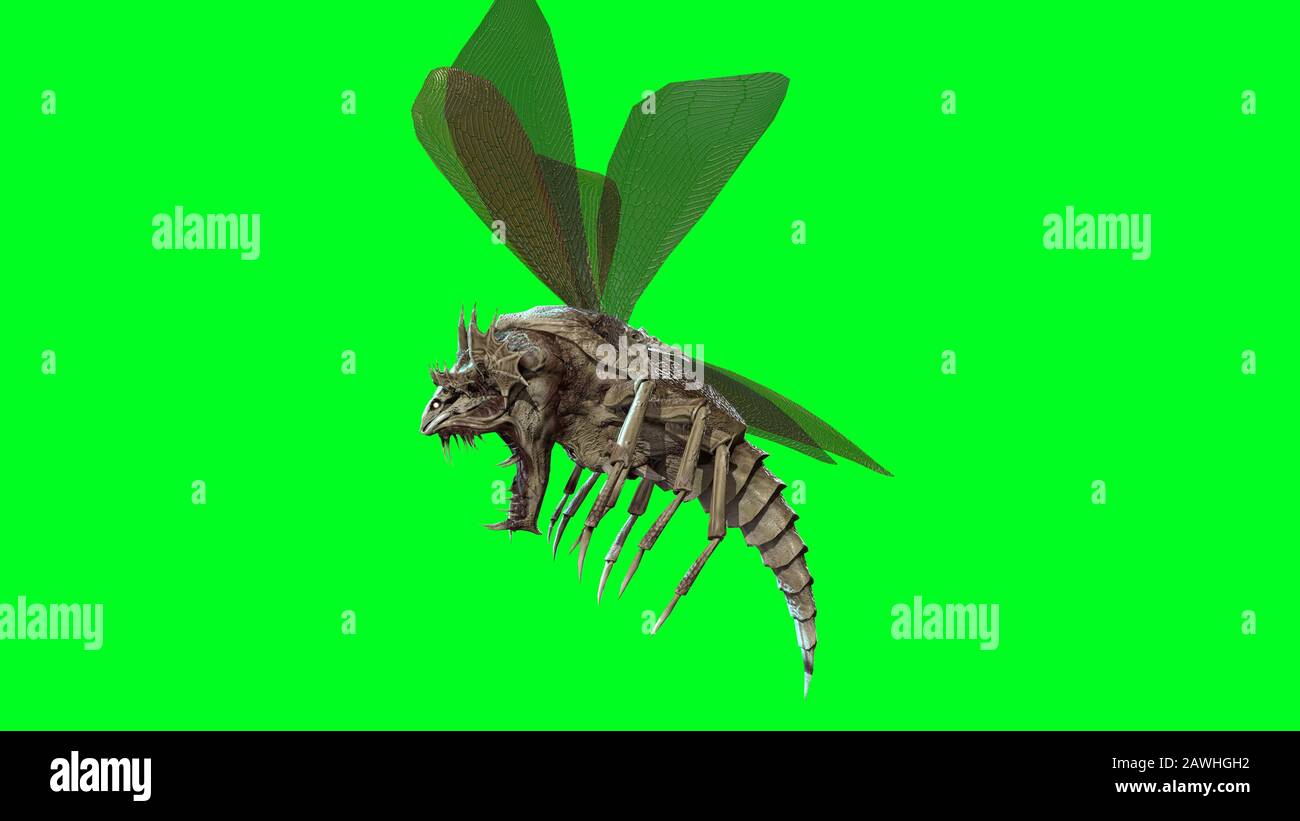 the evil bug 3d render Stock Photo - Alamy the evil bug 3d render Stock Photo - Alamy