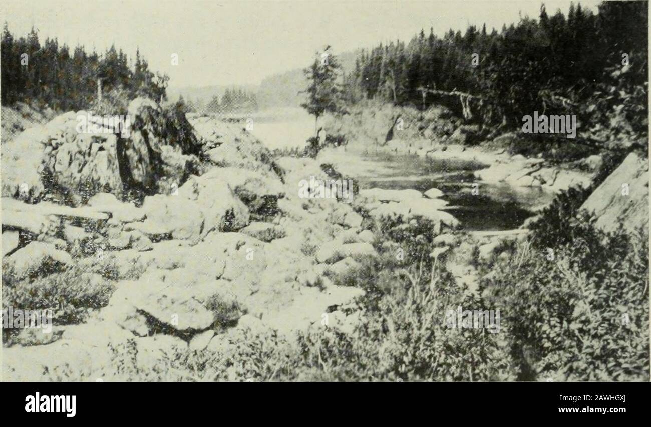 Annual report . Foot of the Carrying Places portage, Abitibi river. The ...