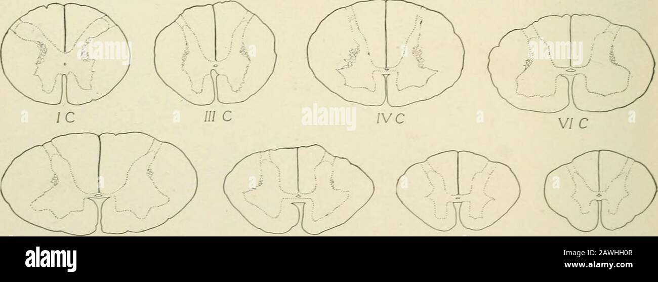 Cord of three strands hi-res stock photography and images - Alamy