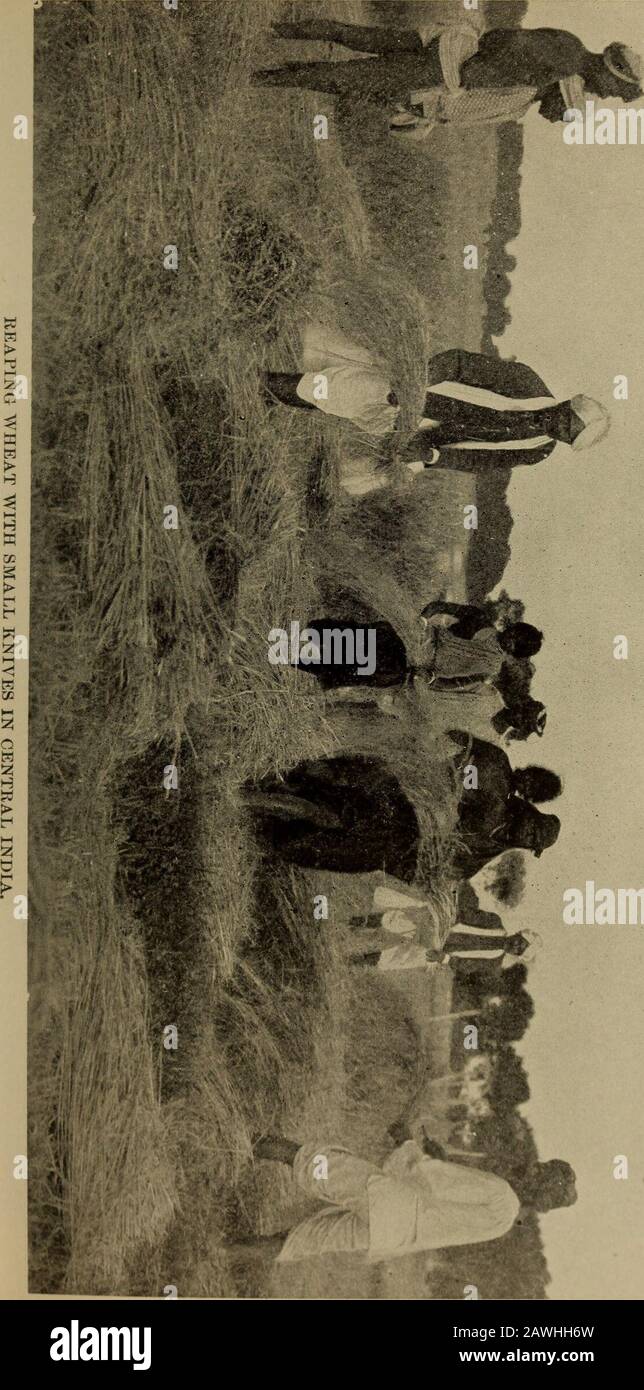 Butyrum hi-res stock photography and images - Alamy