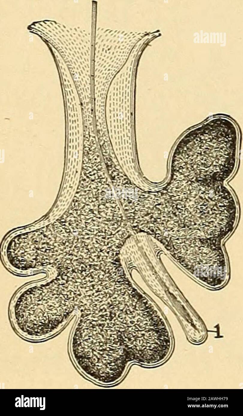 Lowertemperature hi-res stock photography and images - Alamy