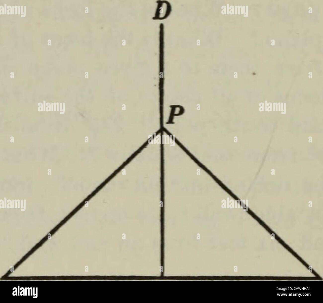 Vertex Geometry Triangle Triangle