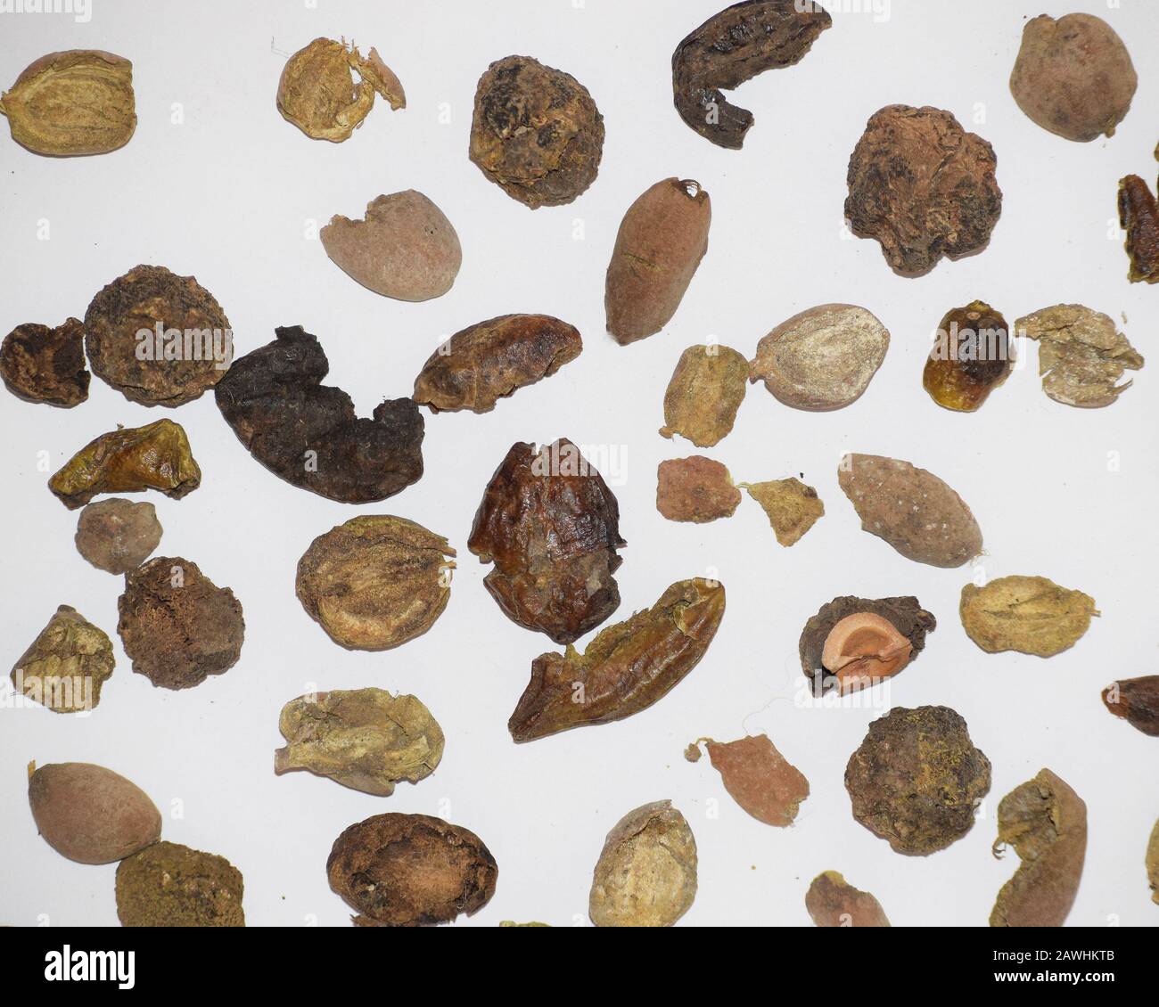 Dried Triphala Ancient medicine herb used to detoxify antioxidant. With ...