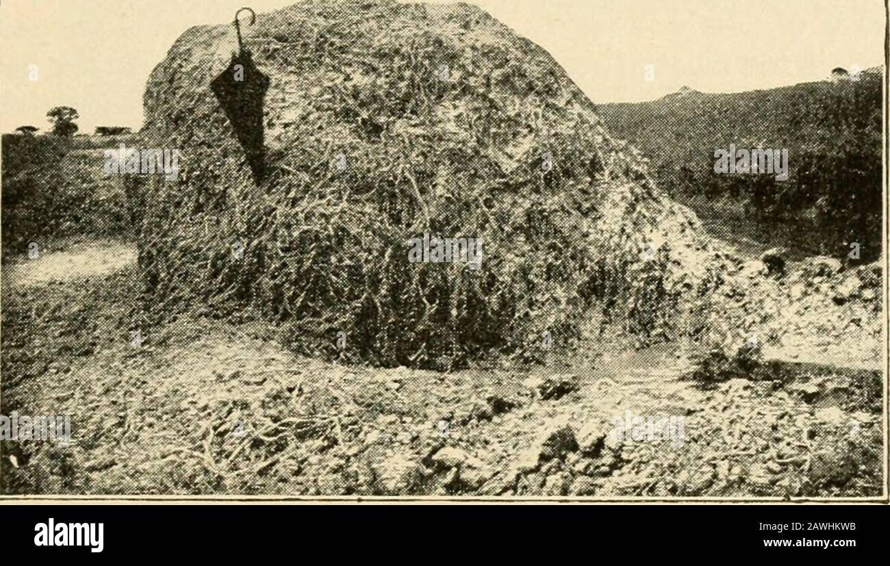 The umb bank building hi-res stock photography and images - Alamy