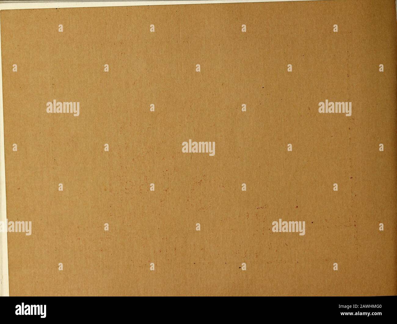 Delta sigma theta hi-res stock photography and images - Alamy