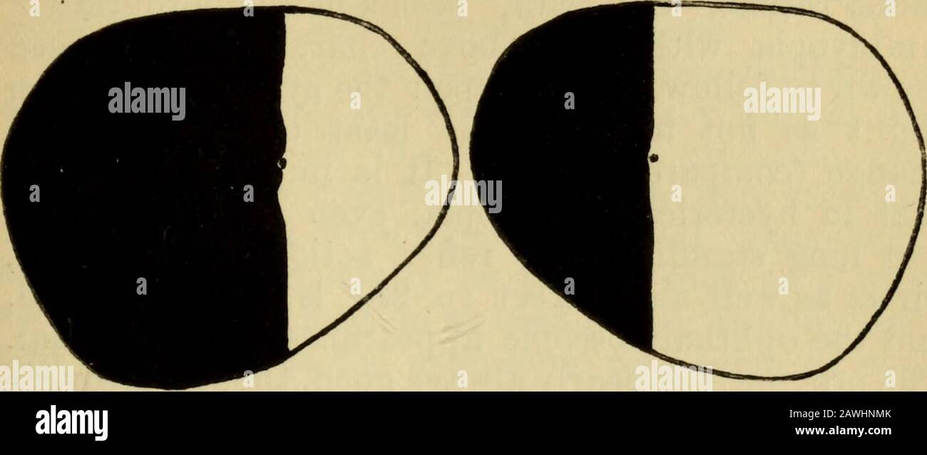 Lateral line disease hi-res stock photography and images - Alamy