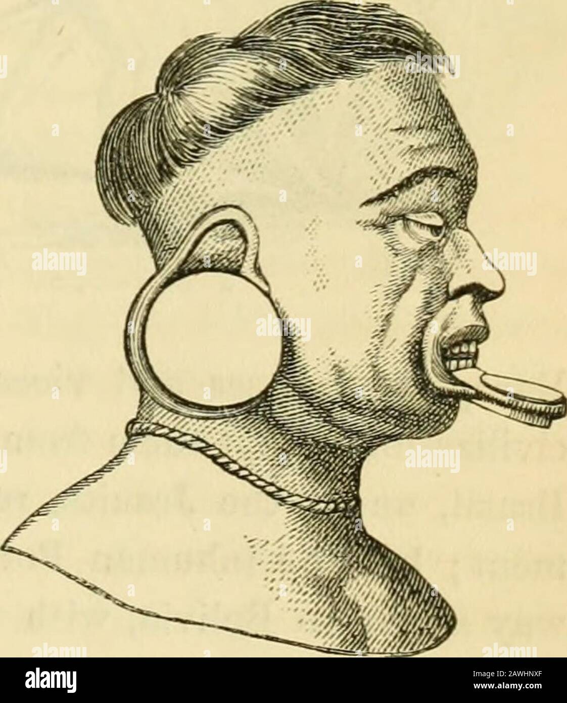 Tupi tribe hi-res stock photography and images - Alamy