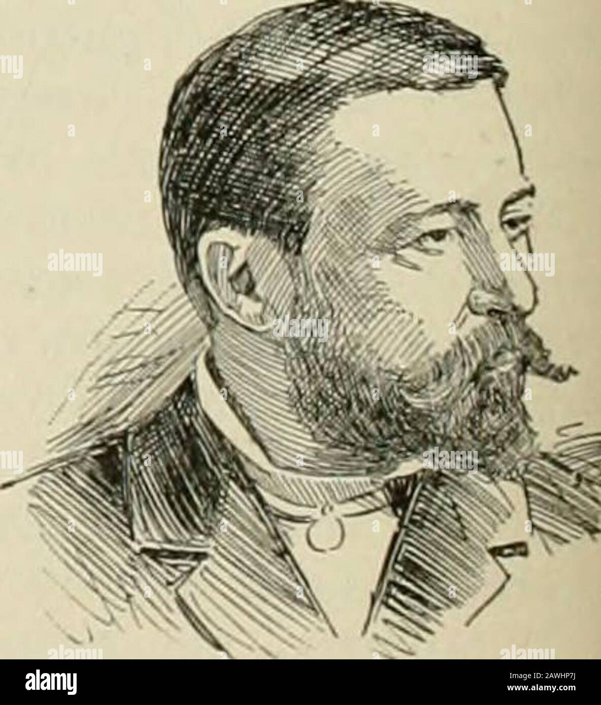 Thomas nast tiger hi-res stock photography and images - Alamy