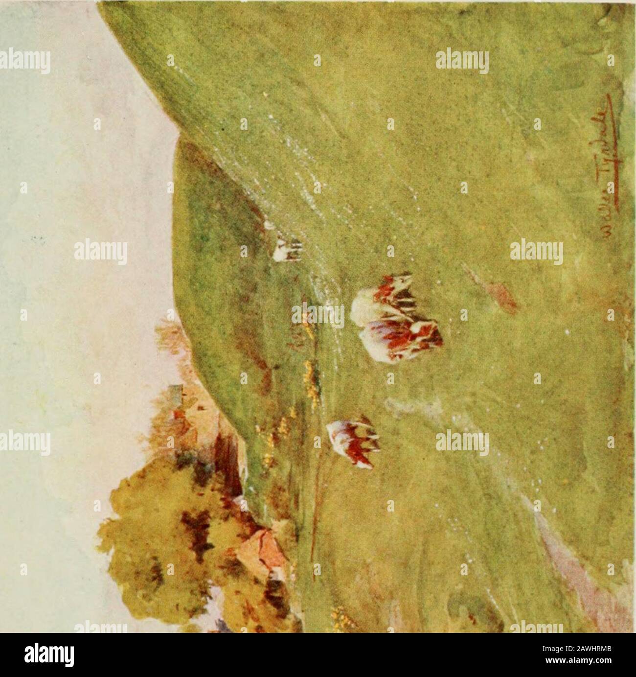 Danish invaders hi-res stock photography and images - Alamy