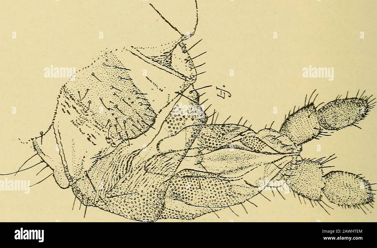 149 m long hi-res stock photography and images - Alamy