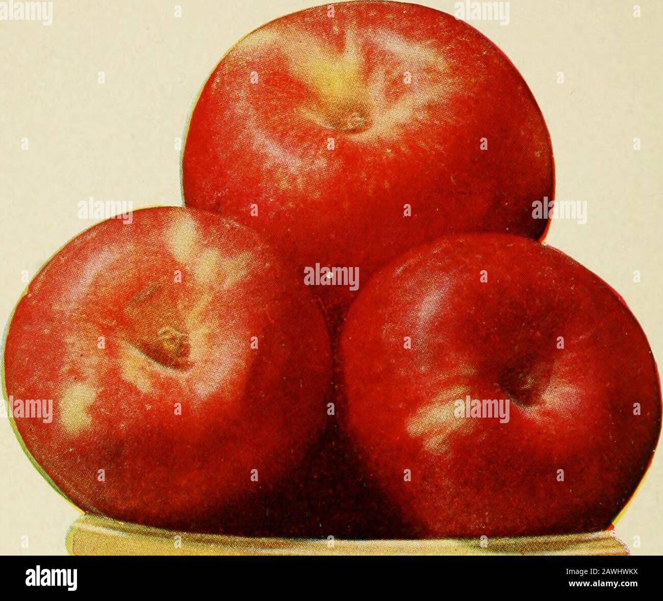 Booksubjectfruitcultu hi-res stock photography and images - Alamy