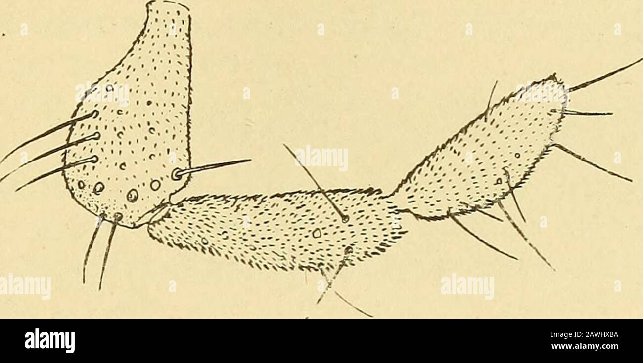 759 mm hi-res stock photography and images - Alamy