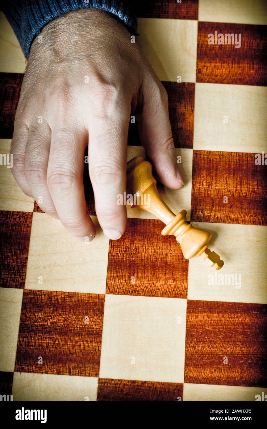 male hand making a king move of resigning a game of chess Stock Photo ...