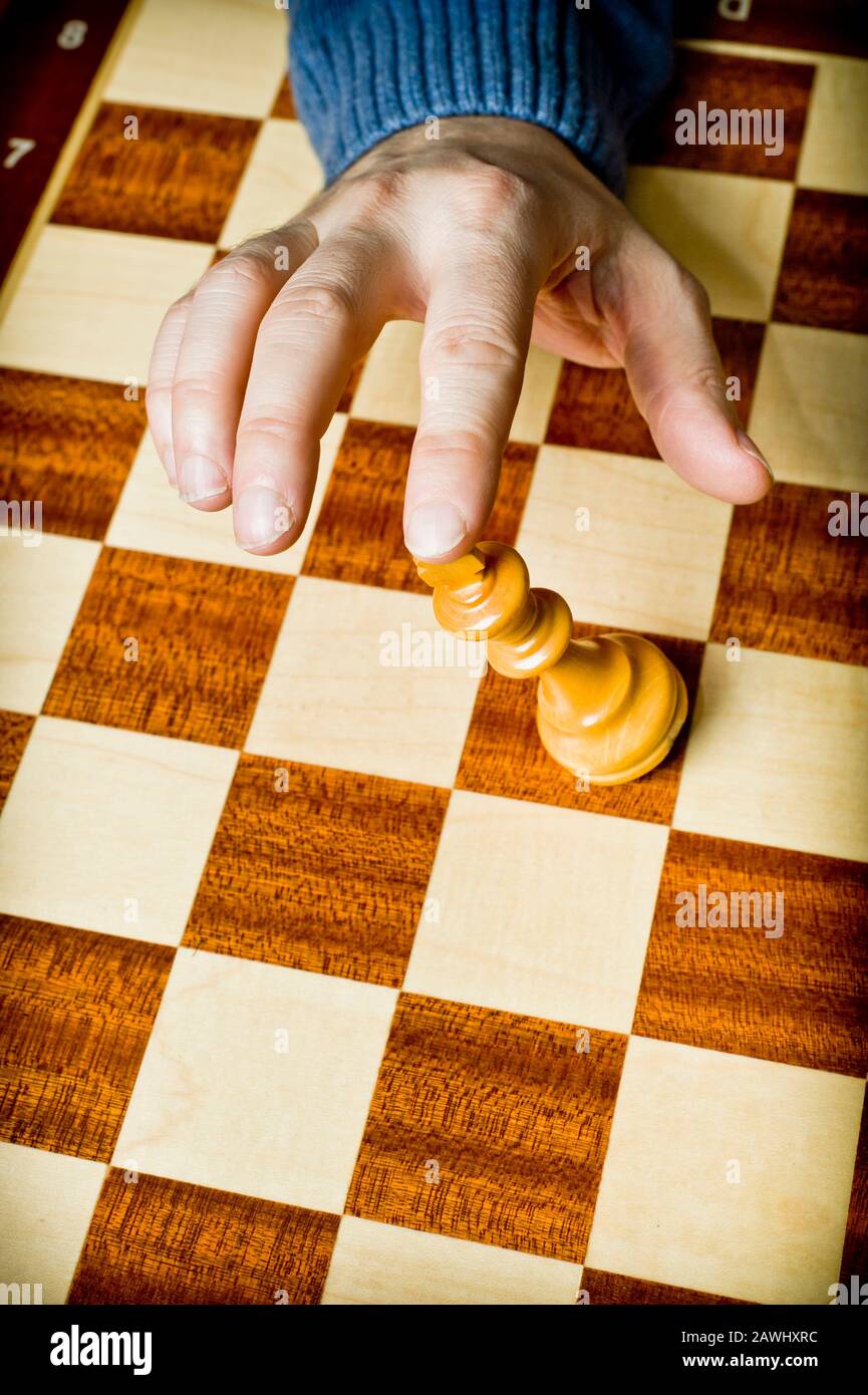male hand making a king move of resigning a game of chess Stock Photo ...