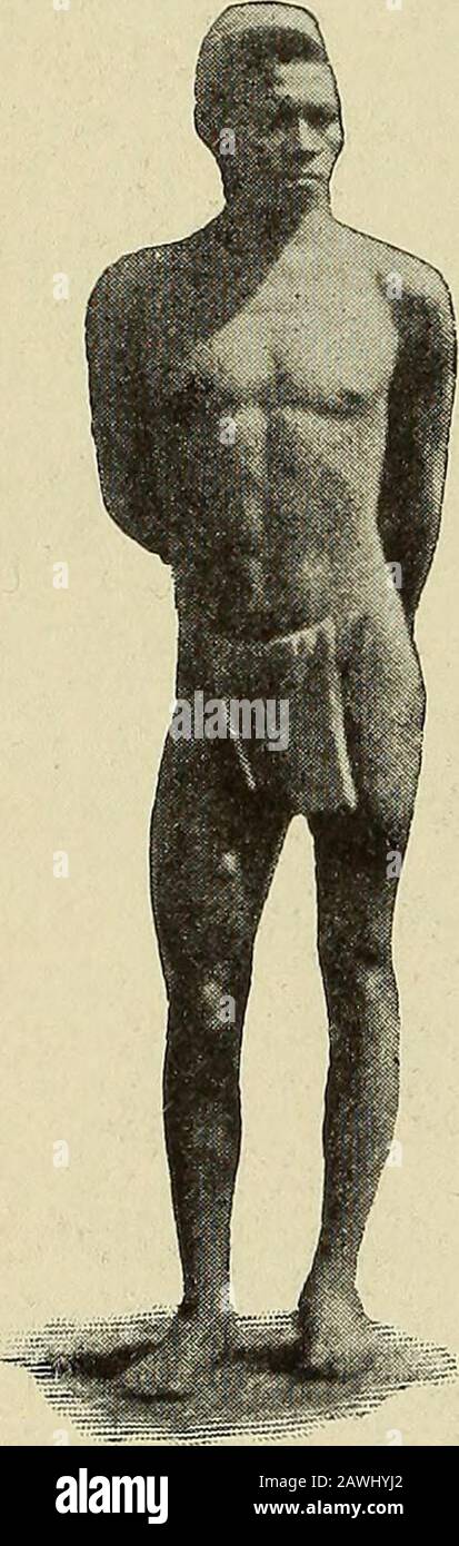 Wearing loin cloth hi-res stock photography and images - Alamy