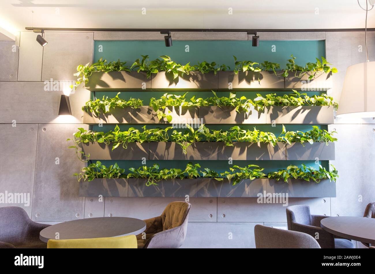 Beautiful cafe interior with lots of greenery on wall Stock Photo - Alamy