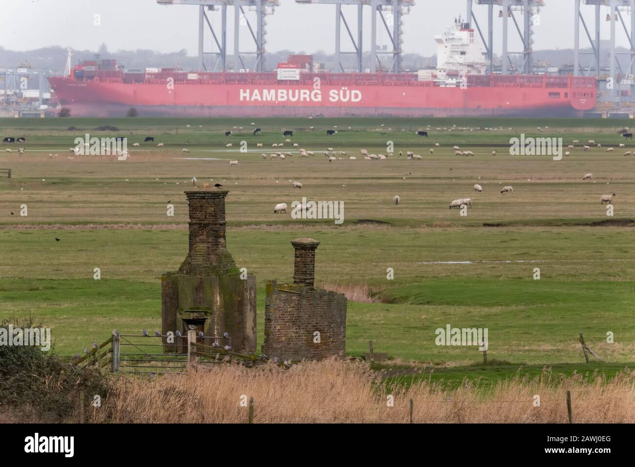 Cliffe marshes hi-res stock photography and images - Alamy
