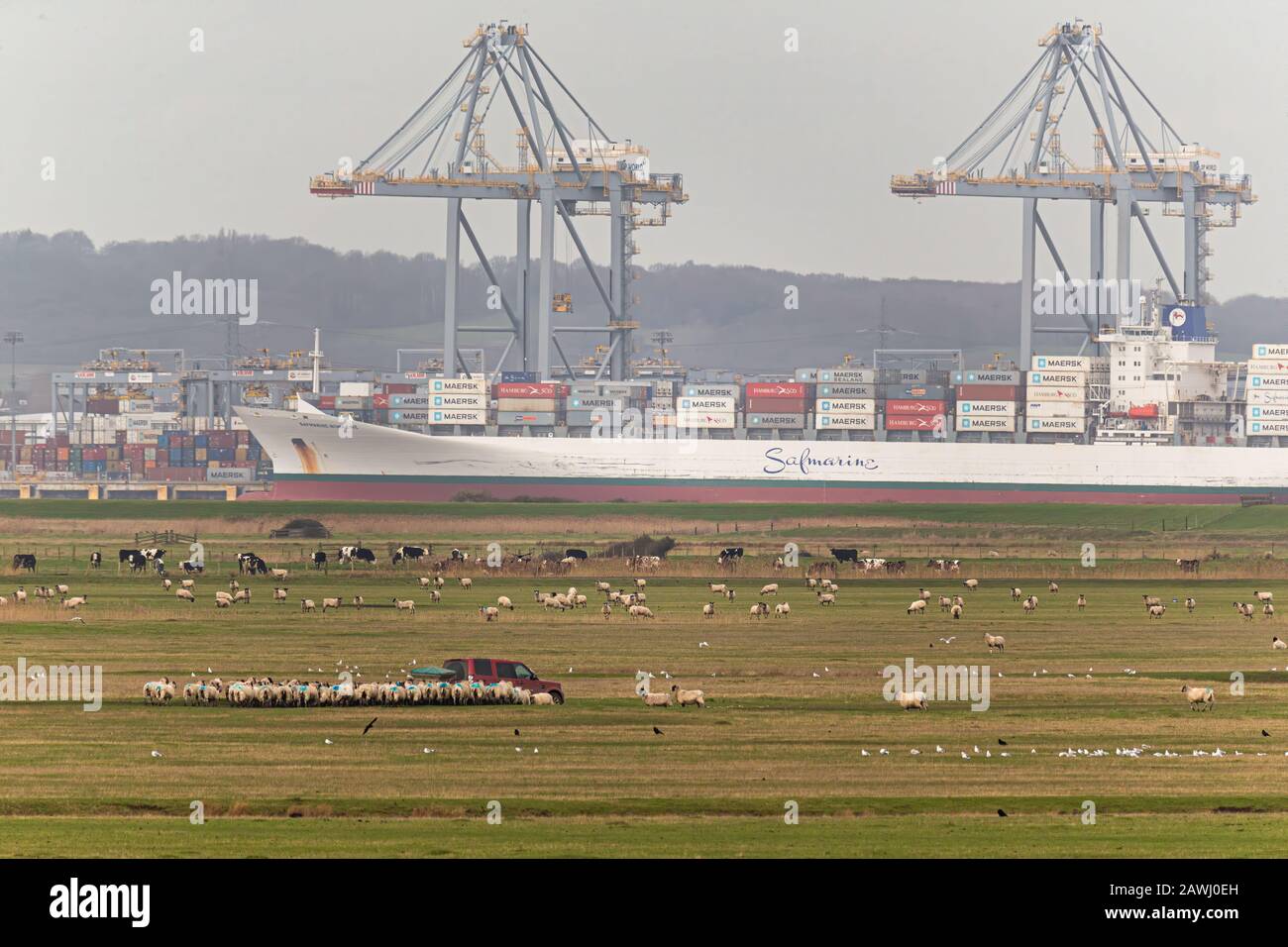 Cliffe Marshes in kent UK. A ship in background sailing up the River ...