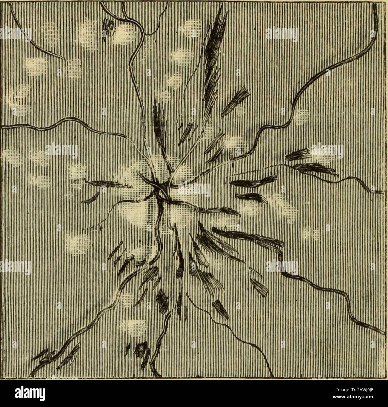 Irregular borders hi-res stock photography and images - Alamy