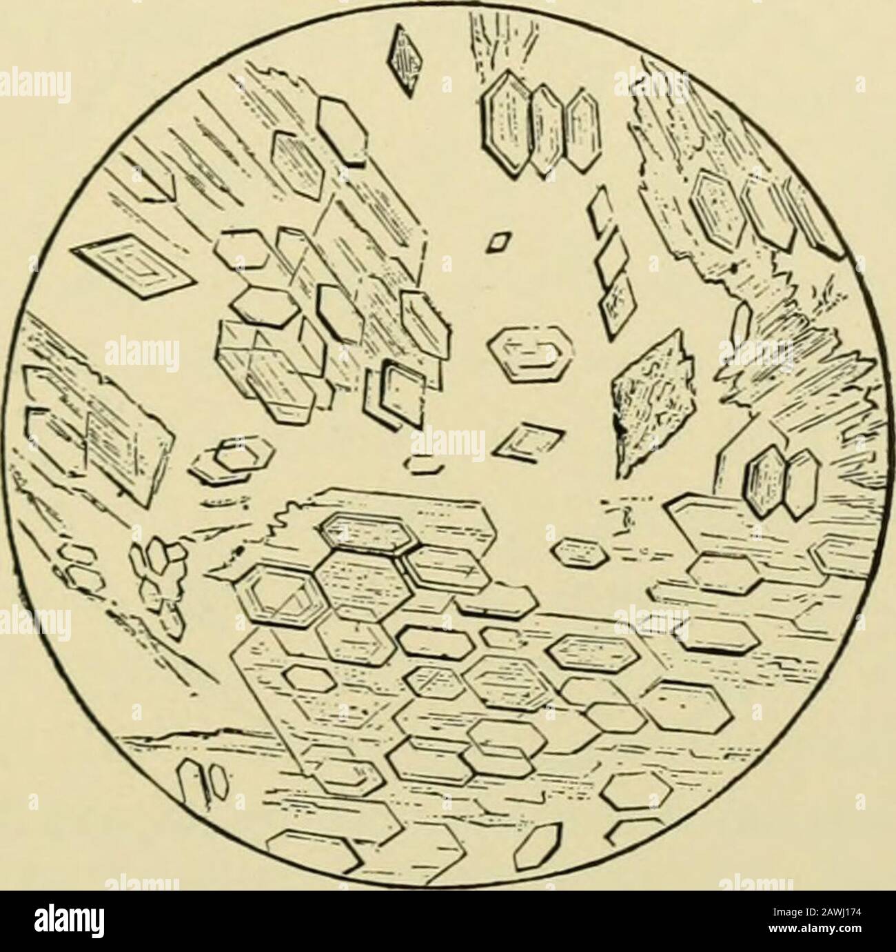 Urea Crystals High Resolution Stock Photography and Images - Alamy