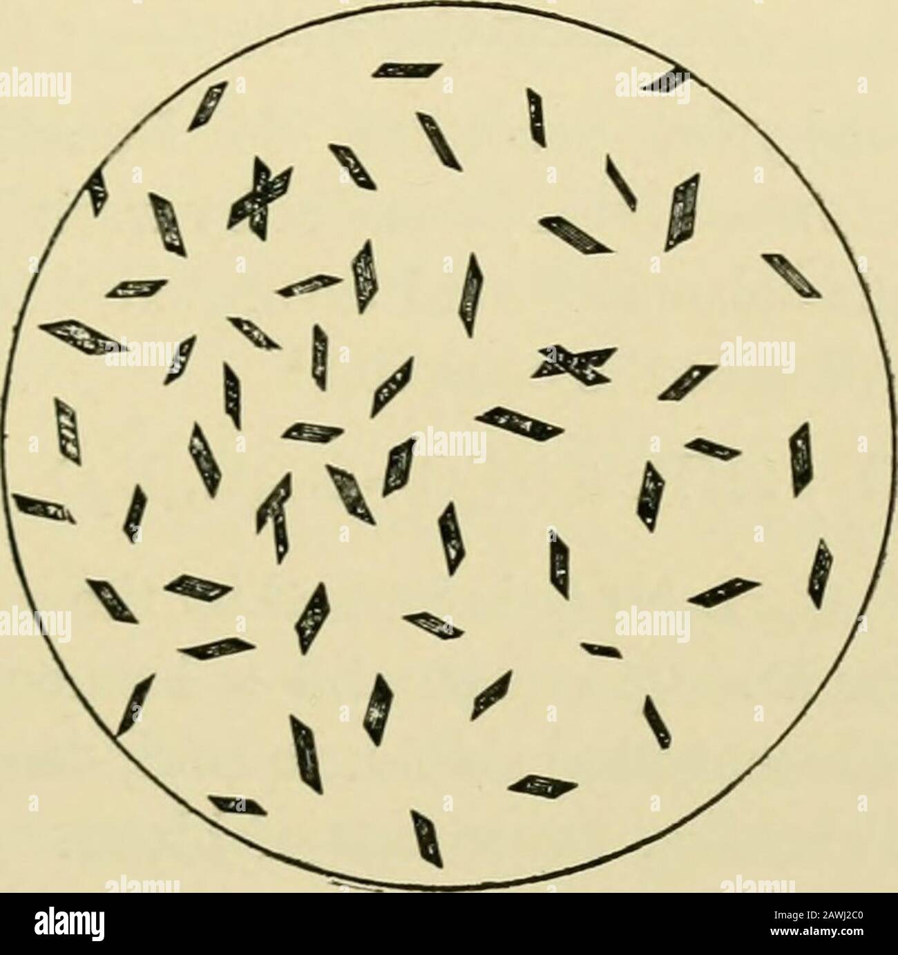 Salt crystals microscope hi-res stock photography and images - Alamy