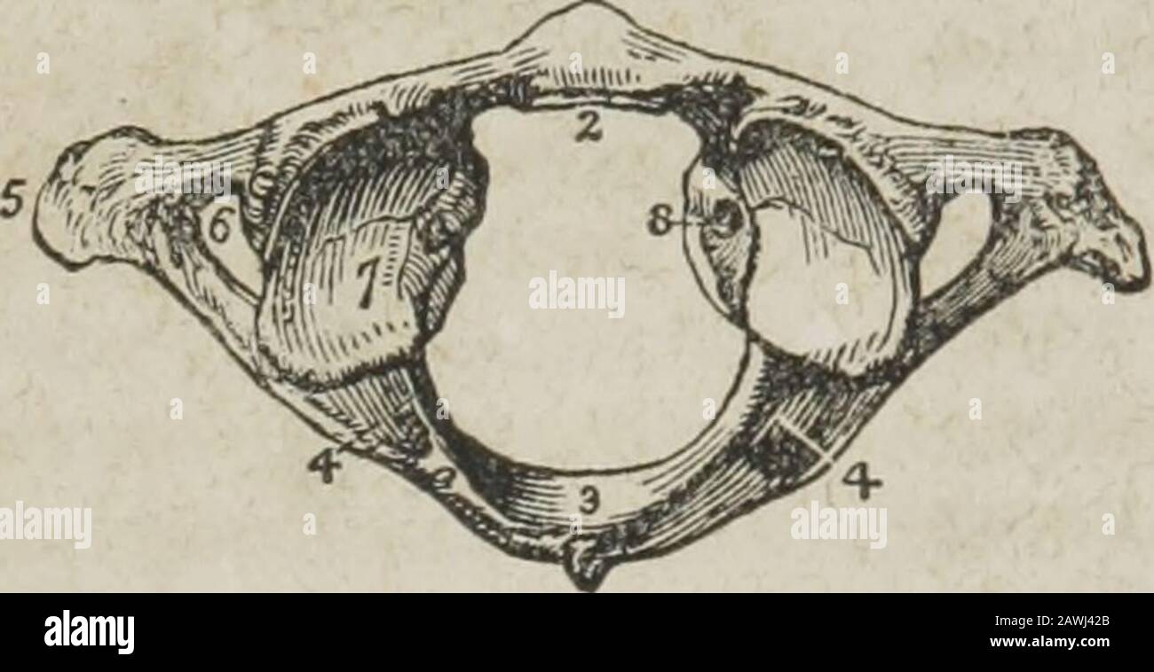 A system of human anatomy, general and special . is a ...